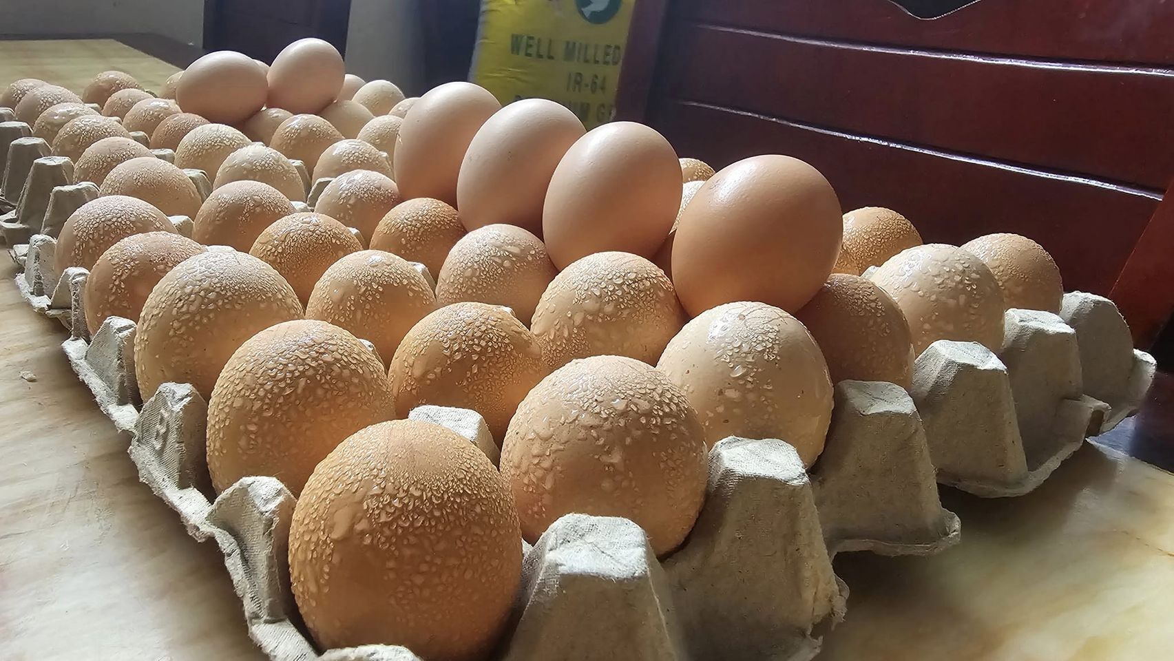 Green Eggs and Pulp: A Sustainable Packaging Tale: Beston Solution